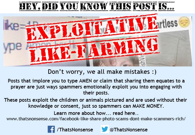 We've designed some informative like-farming pic comments for you ...