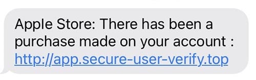 6 Spam Text Message Examples in 2021 - ThatsNonsense.com