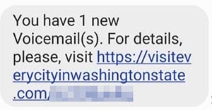 Beware of "You have new voicemail" scam SMS texts - ThatsNonsense.com