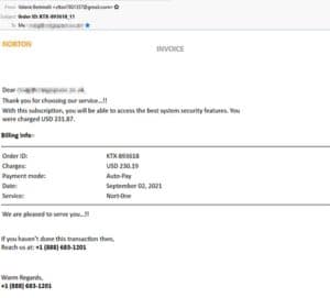 Watch out for fake Norton renewal emails. It's a scam - ThatsNonsense.com